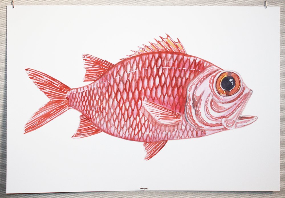 Amazon.com: "Menpachi" Gicleé Print from Original Watercolor by Jaimie ...