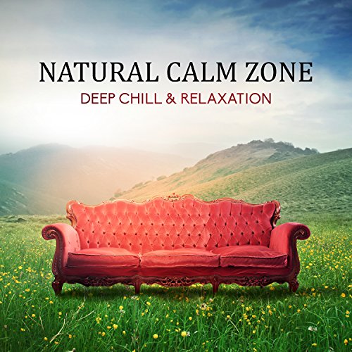Amazon MusicでVARIOUS ARTISTSのNatural Calm Zone: Deep Chill & Relaxation ...