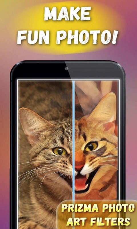 Prizma Photo Art Filters - App on Amazon Appstore