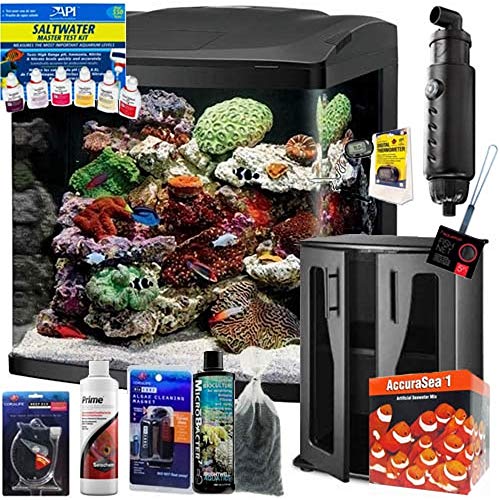 Coralife Biocube 32 Review & Upgrades: Ultimate Reef Kit