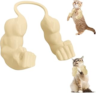 Understanding Feline Muscle Atrophy: Causes Of Cat Muscle Wasting | CyVigor