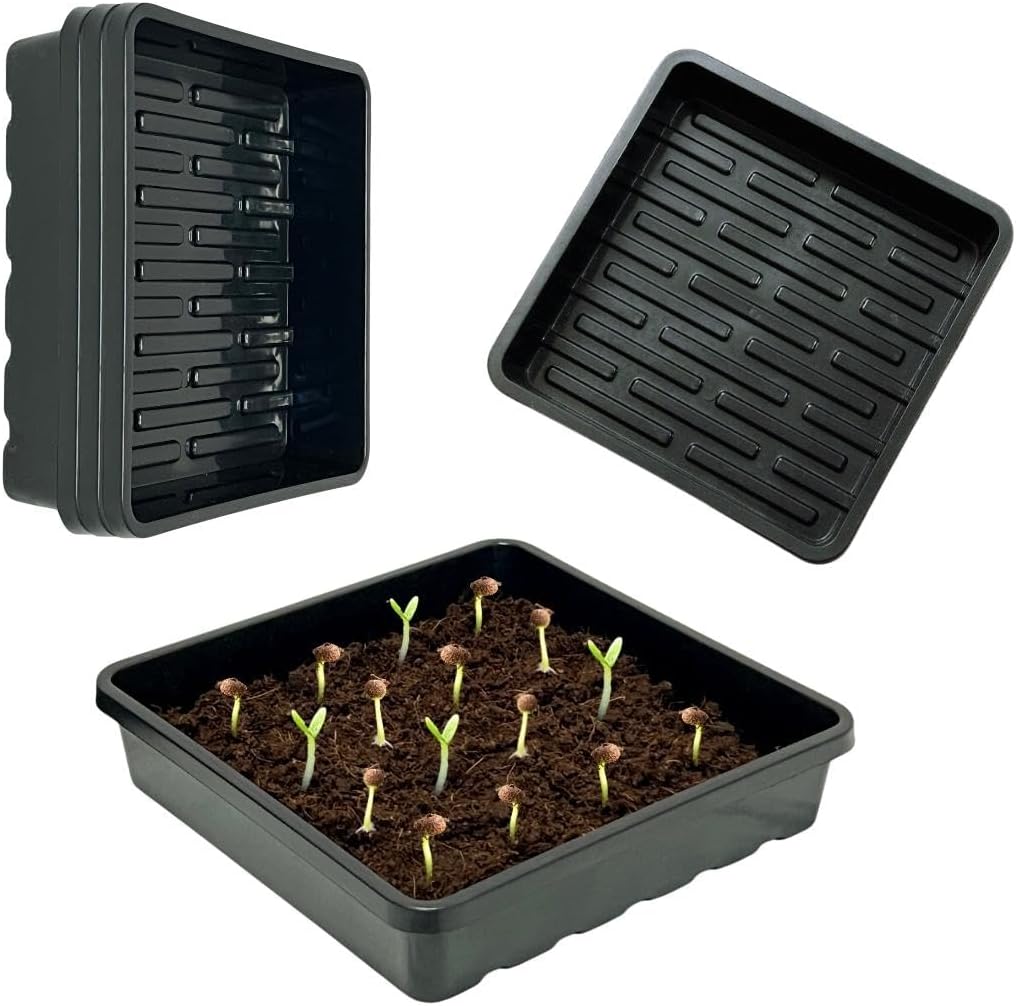 Amazon.com : 10-Pack 1010 Garden Growing Trays Without Drain Holes - 10 ...