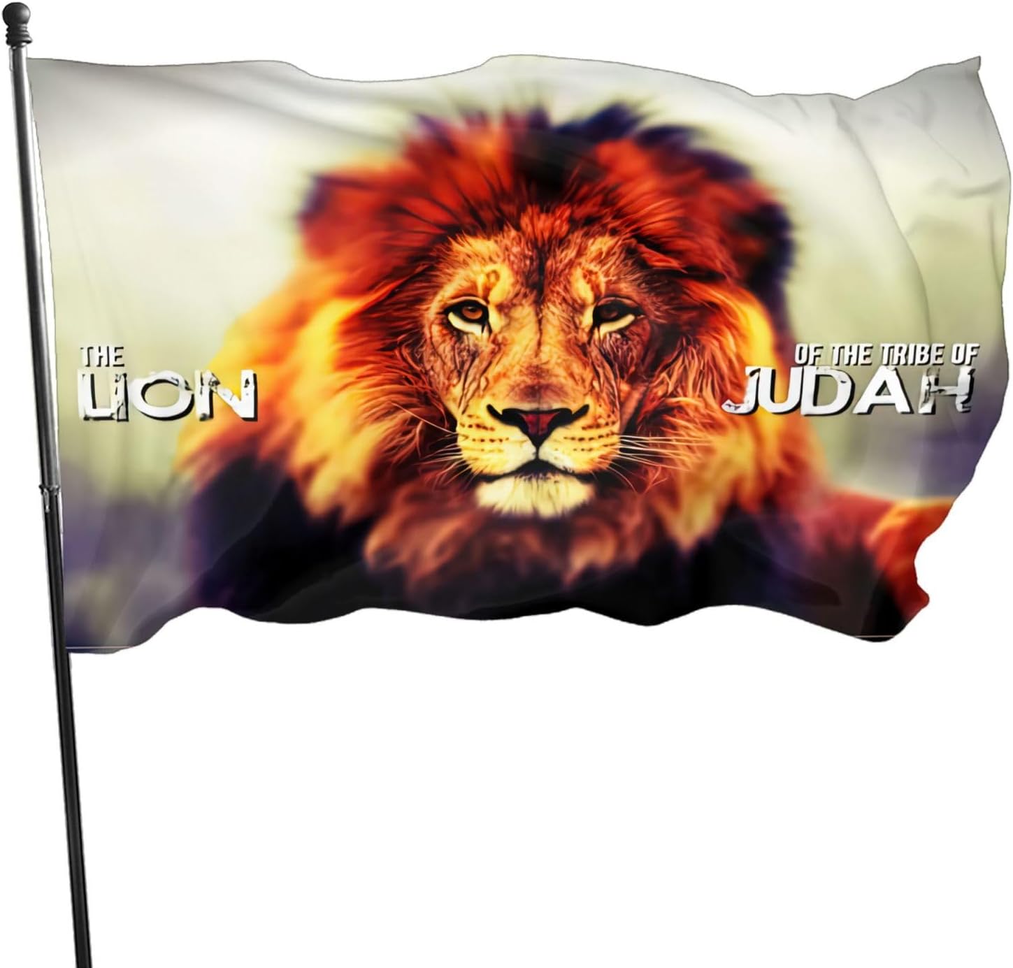 Amazon.com : Ali Yee Tribe of Judah Lion 3 x 5 Feet Flag -Uv Fade ...