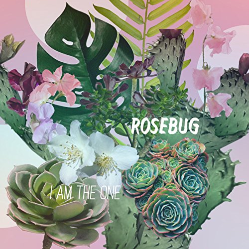 Amazon.com: I Am the One : Rosebug: Digital Music