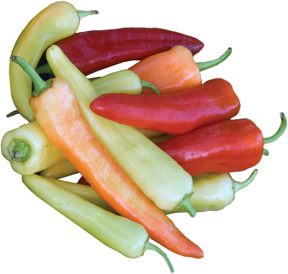 Amazon.com : Bounty Sweet Pepper Seeds Hybrid F1 - Excellent Processing ...