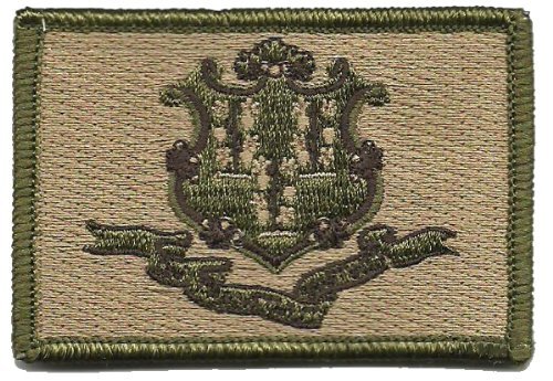 Tactical State Patch - Connecticut - Multitan : Amazon.in: Home & Kitchen