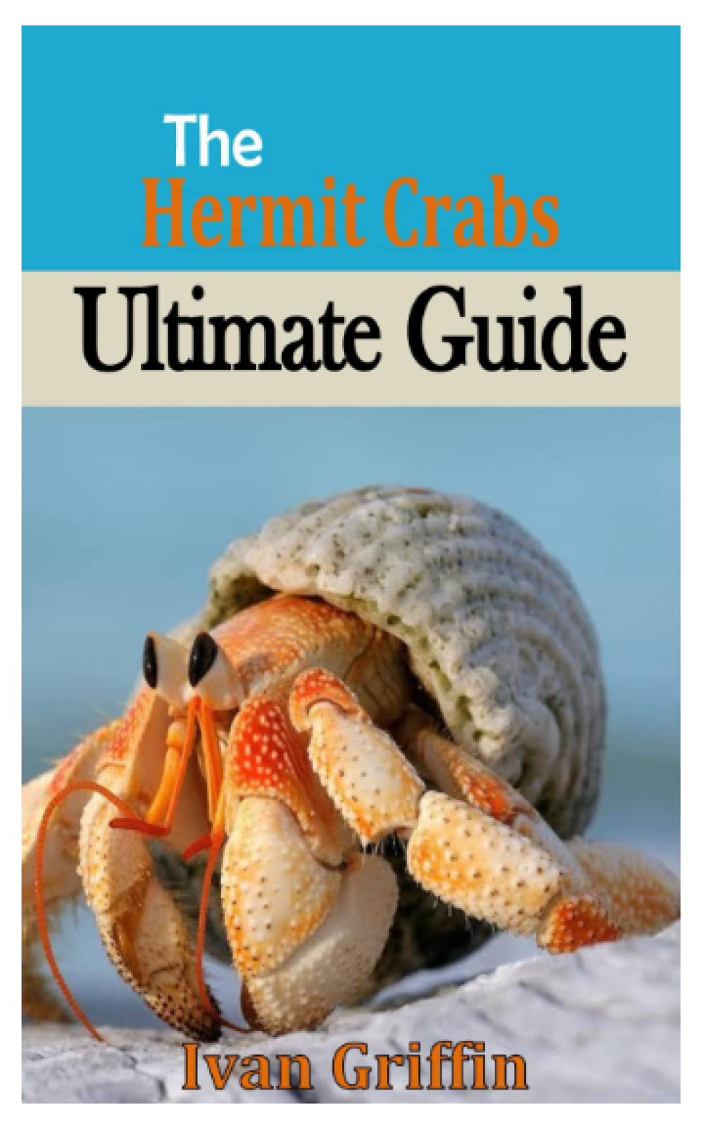 The Hermit Crabs Ultimate Guide A Detailed Manual On Everything | Desertcart INDIA