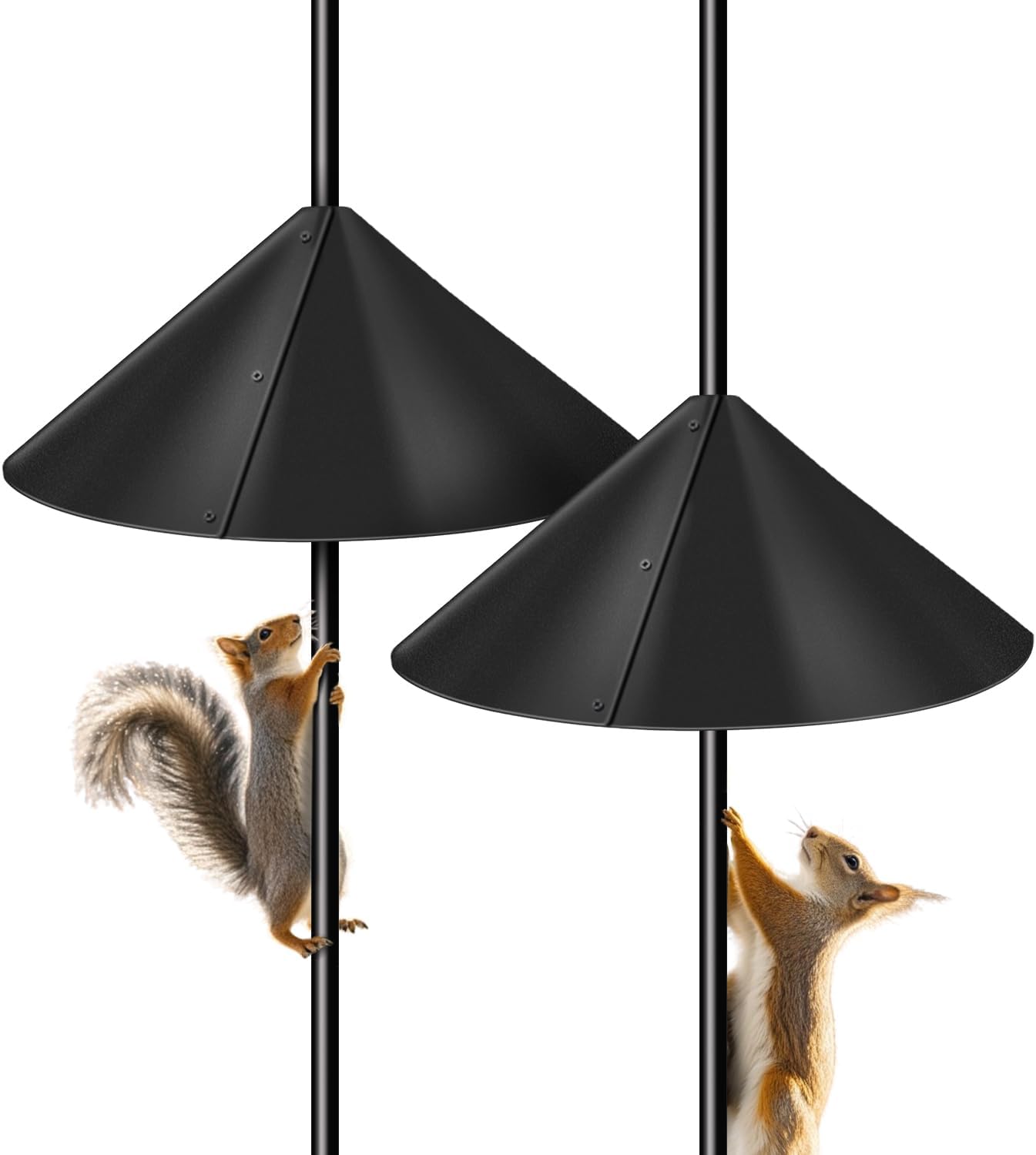 Amazon.com : Squirrel Baffle for Bird Feeder, Wrap Around Squirrel ...