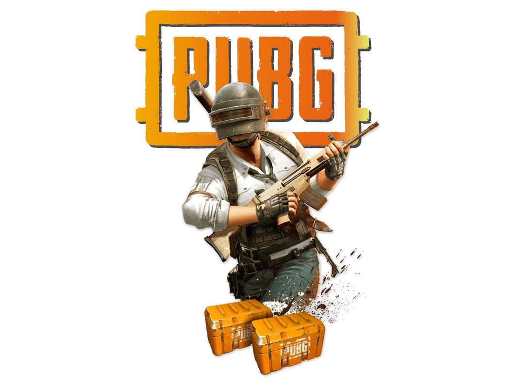 DivineDesigns™ PubG Gun Boy & Bullets Sticker | Wall Sticker for Living ...