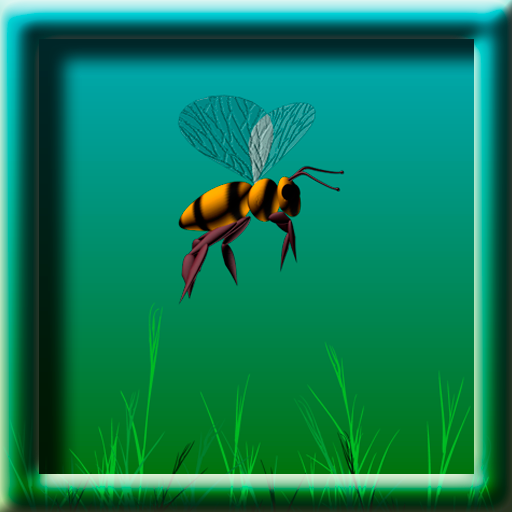 Honey Bee Flying Green Screen