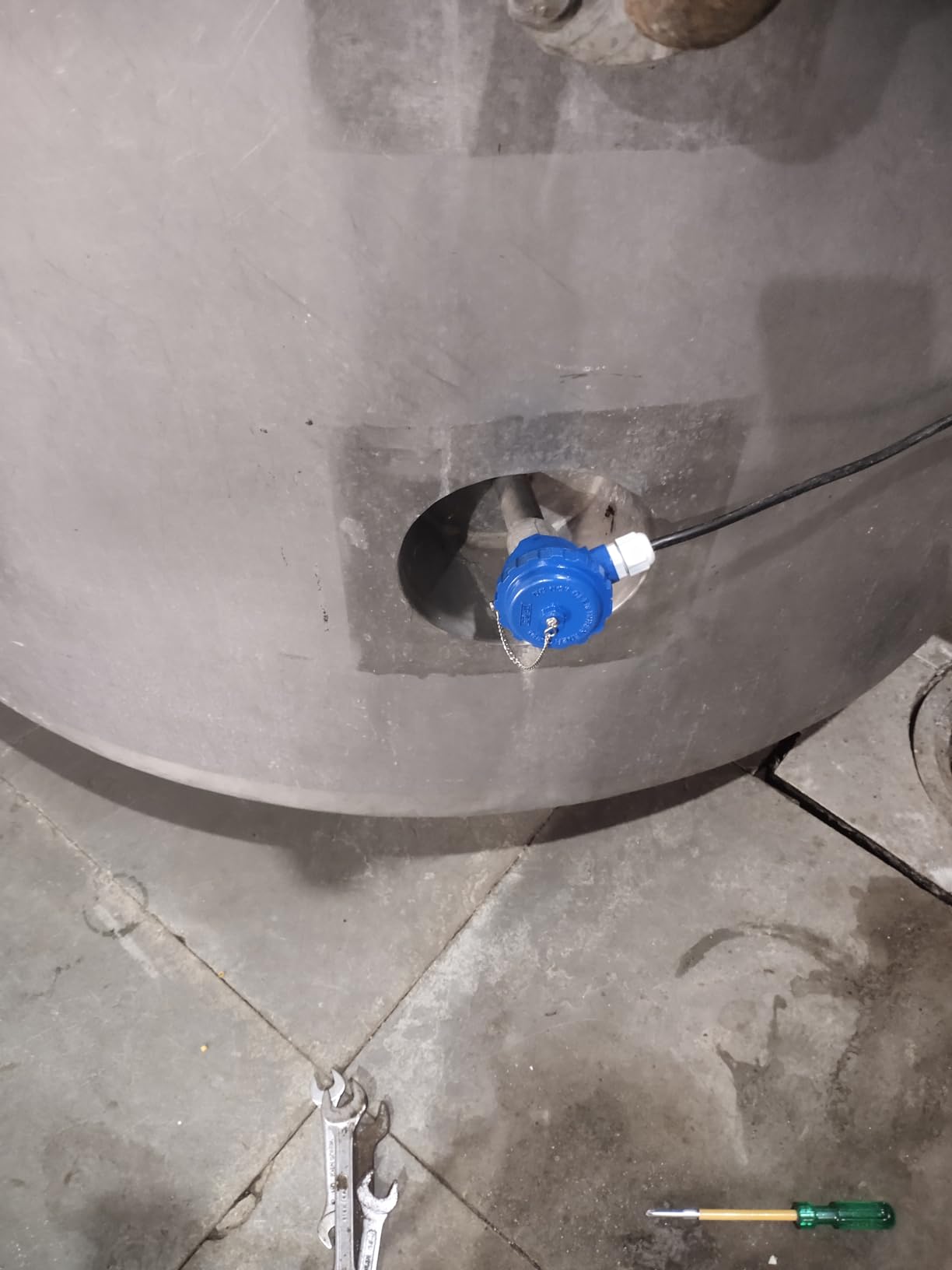 VIGITAL -RTD (PT100-SIMPLEX) HEAD TYPE SENSOR WITH 6MM DIA, With 1/2 ...