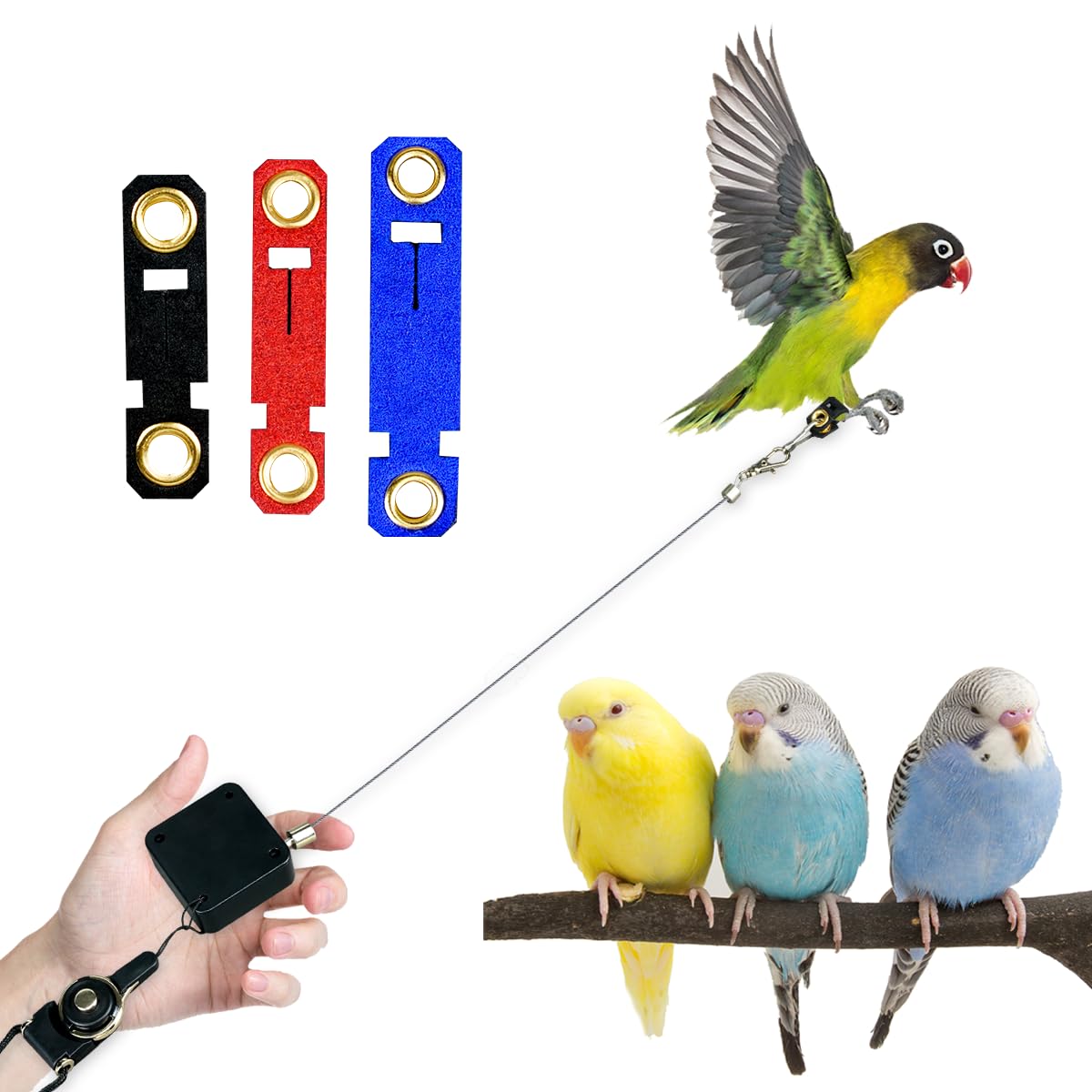 Amazon.com : Bird Harness and Leash Retractable Pet Parrot Harness Anti ...