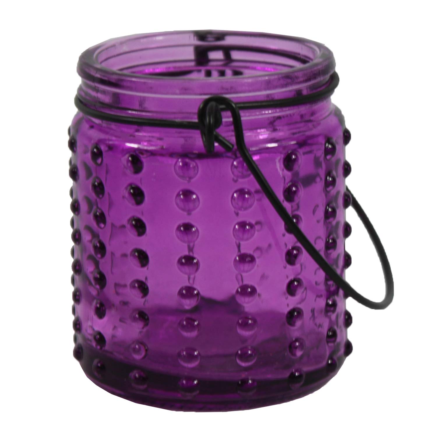 Amazon.com: Connie N Randy Small Purple Glass Jar with Handle : Home ...
