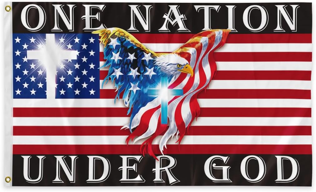 Amazon.com : BOER University of Your Dad Pink College/Dorm Room Flag ...