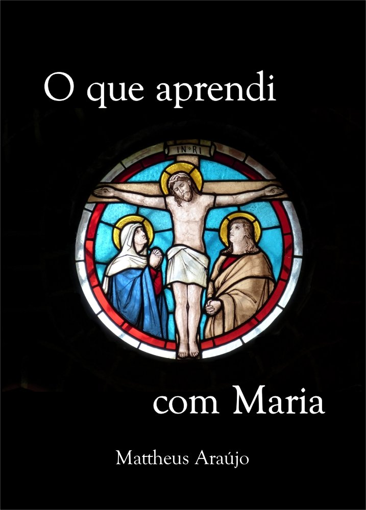 O que aprendi com Maria (Portuguese Edition) eBook : Araújo, Mattheus ...
