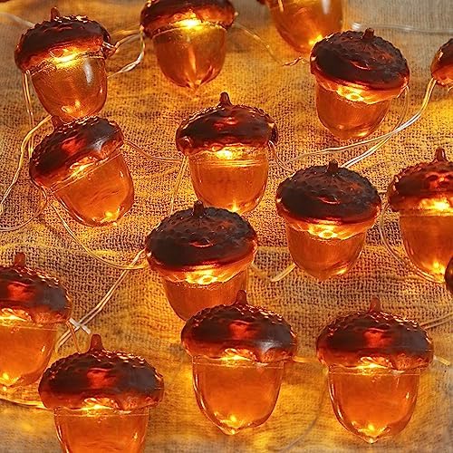 Amazon.com: JASHIKA 3D Twinkle Acorn Fall Decorations Harvest String ...