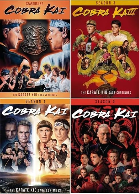 Amazon.com: Cobra Kai - Season 1 , 2 , 3 , 4 & 5 [DVD 4-Pack] : Movies & TV