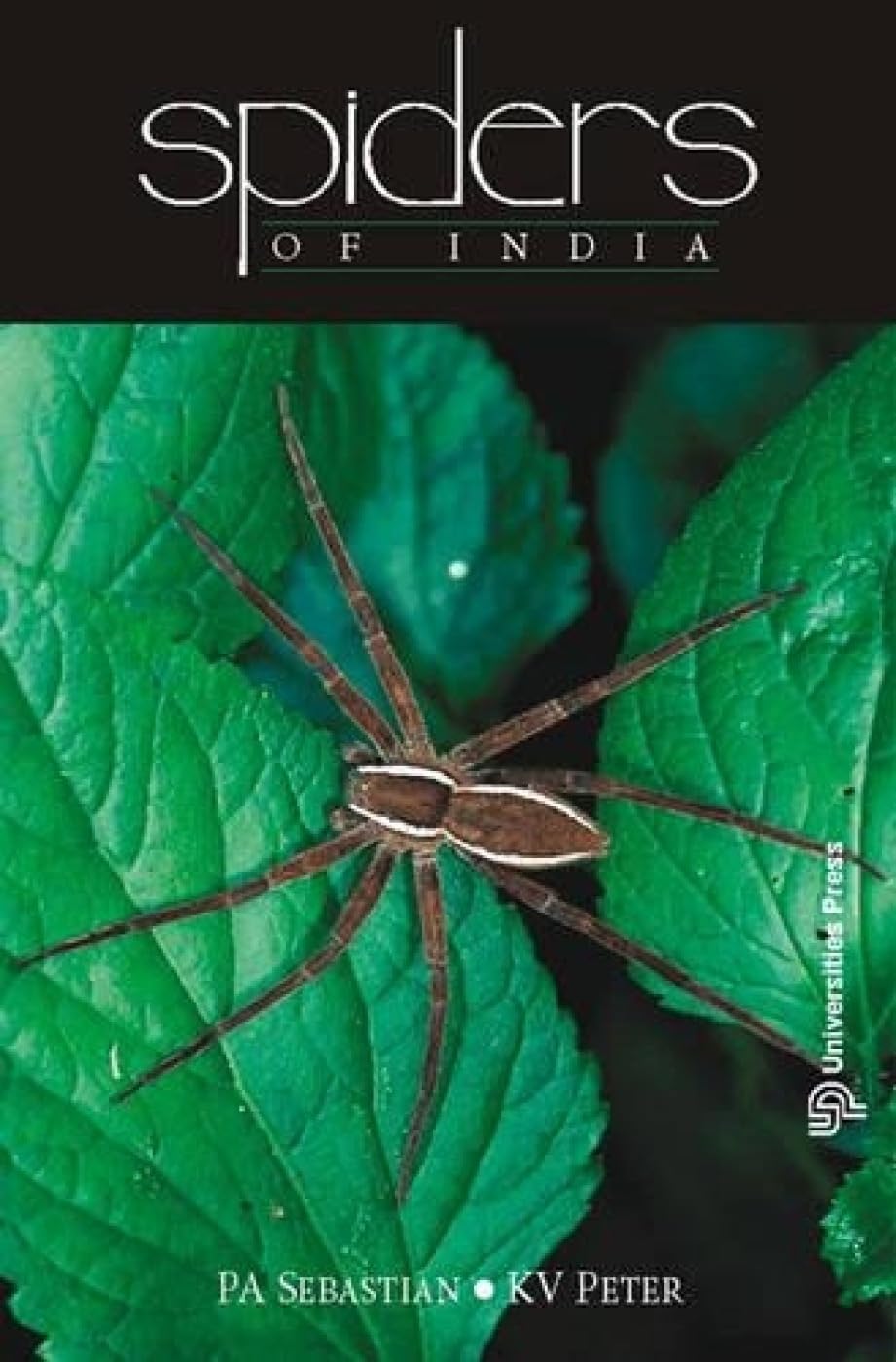 Buy SPIDERS OF INDIA Book Online at Low Prices in India | SPIDERS OF ...