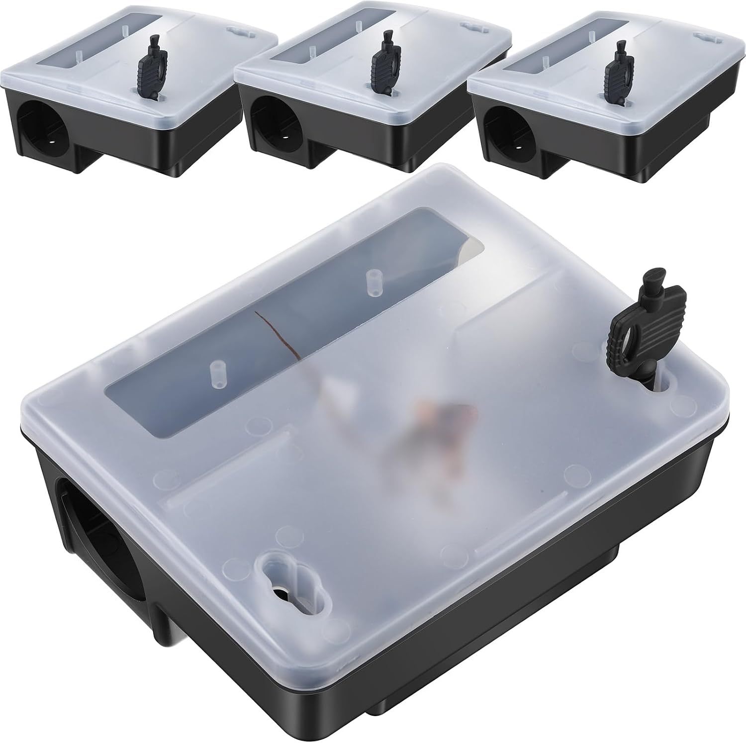 Amazon.com : Qualirey Rat Bait Station Boxes with Key, Rat Trap Boxes ...