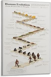 Amazon.com: Human Evolution From Protocells to People Poster History ...