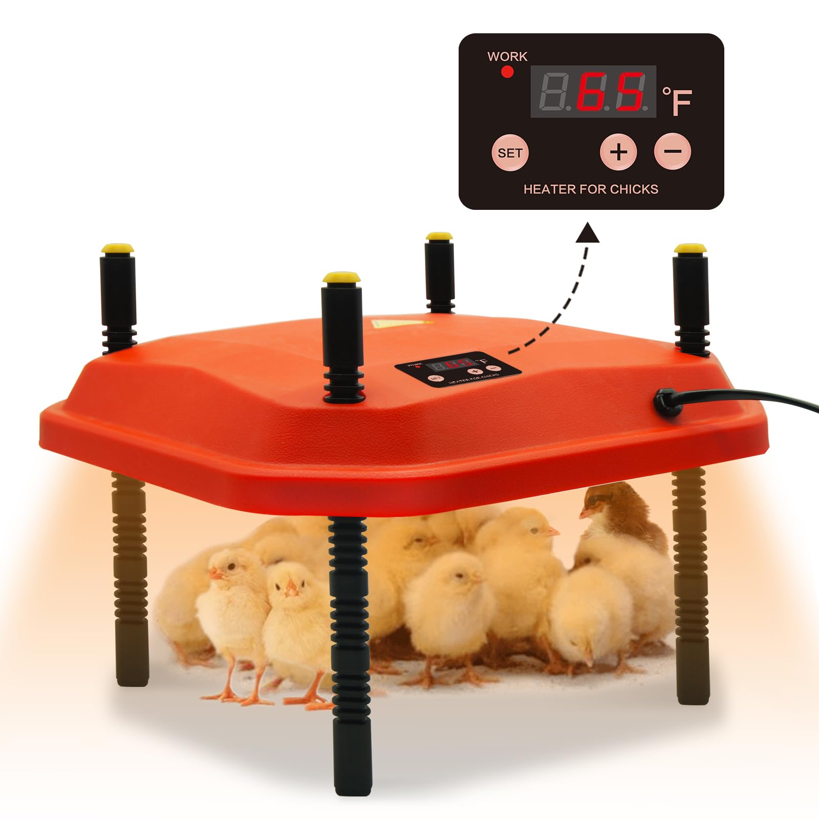 Snapklik.com : GIFANK Chicken Brooder Heating Plate For Chicks And ...