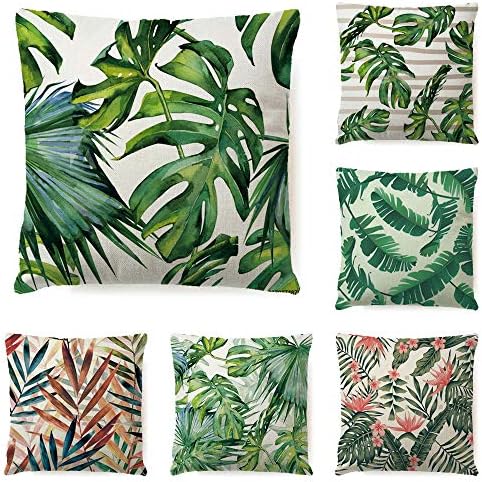 Alexandra Gater's Amazon Page