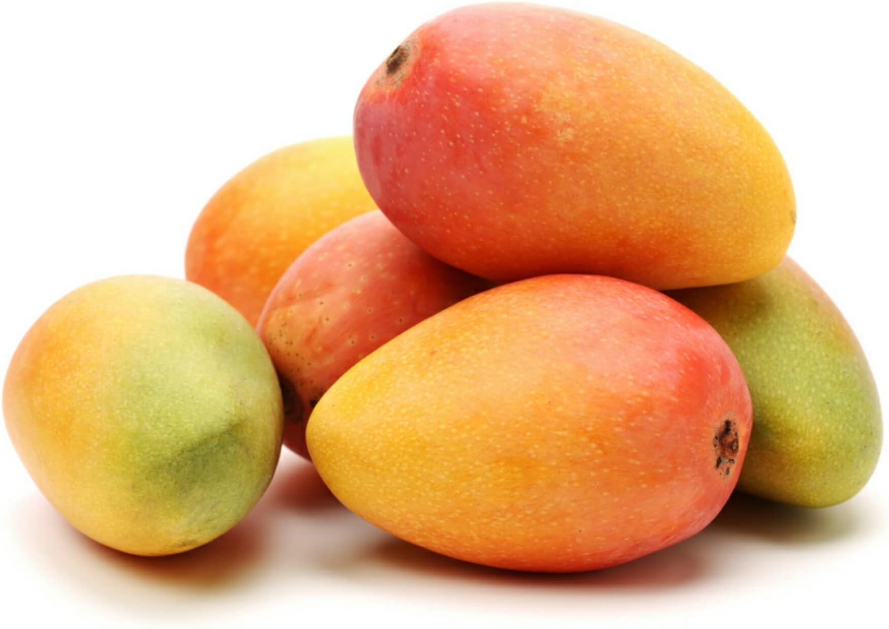 Mphmi Mango Alphonso, Aam Hapus (Grafted) - Plant : Amazon.in: Garden ...