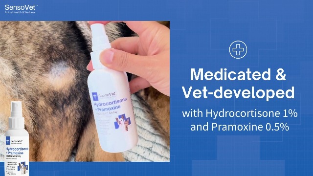 Watch SensoVet Hydrocortisone Pramoxine Spray for Dogs & Cats on Amazon ...