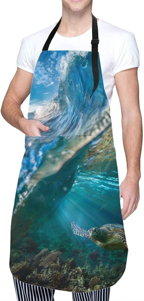 Sea Animal Turtle Floating Underwater Over The Coral Reef Apron ...