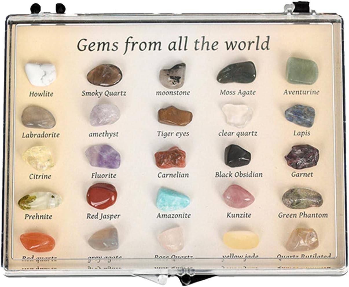 Rock Collections for Kids,Natural Crystal Collection Specimen Box for ...