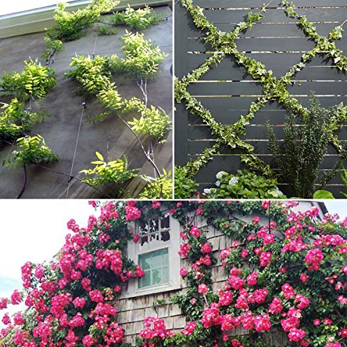 Snapklik.com : 9 Pcs Wire Trellis Kits, Wire Trellis System For ...