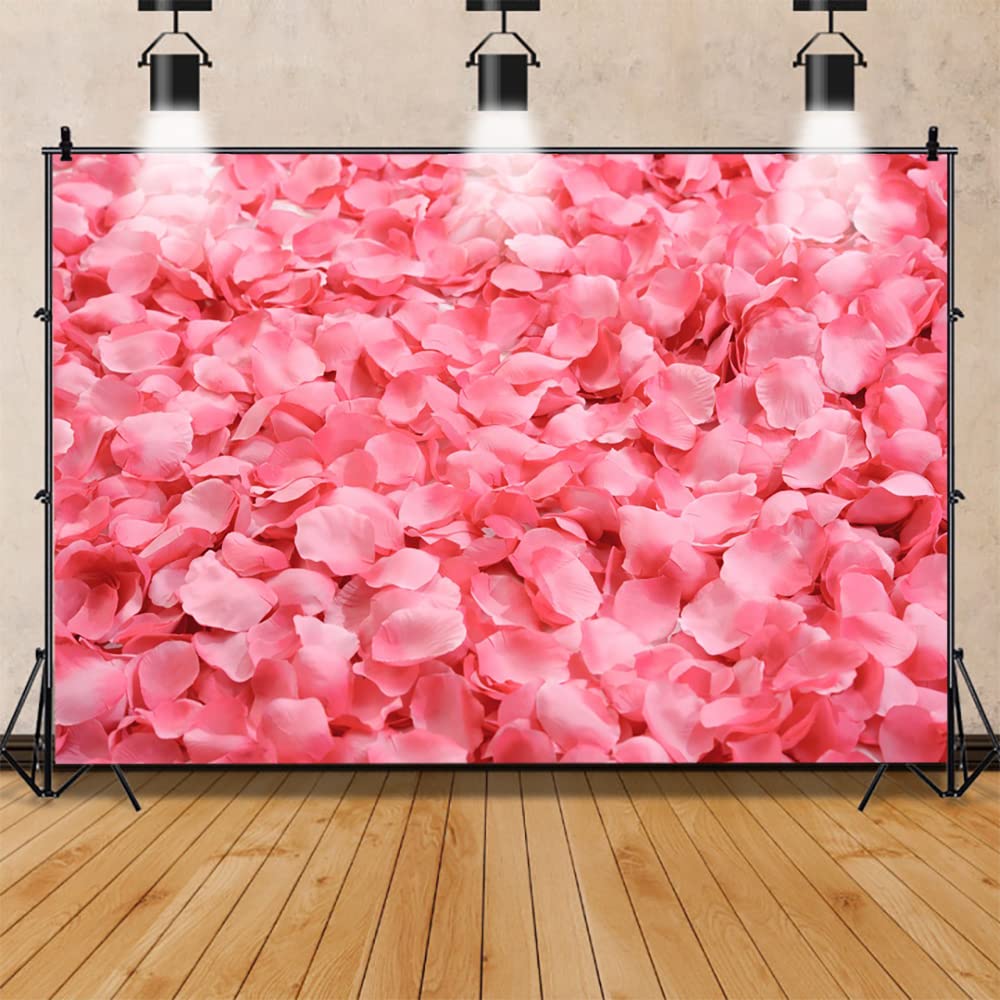 Rose Petal Backdrop