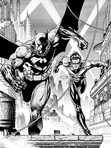Nightwing And Robin Drawings Artwork] Damian Wayne As 'Nightwing',