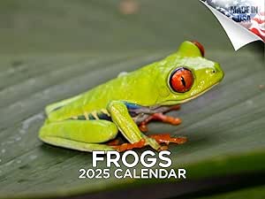 2024 2025 Frogs - Reptile Monthly Wall Calendar - 12 x 18 Open - Thick ...
