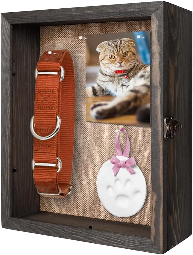 Amazon.com: Wooden Memorial Shadow Box for Cat: Wall-Mounted ...