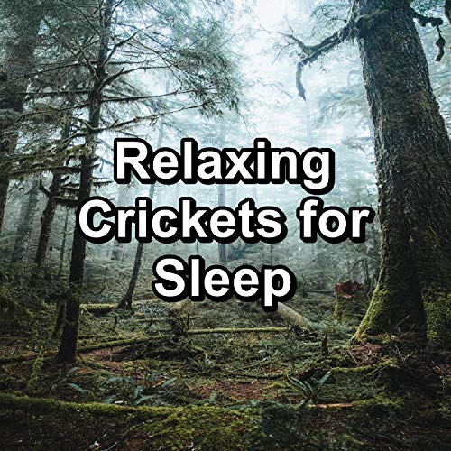 Relaxing Crickets for Sleep by Cricket Sounds & Nature Noise & Sleep ...