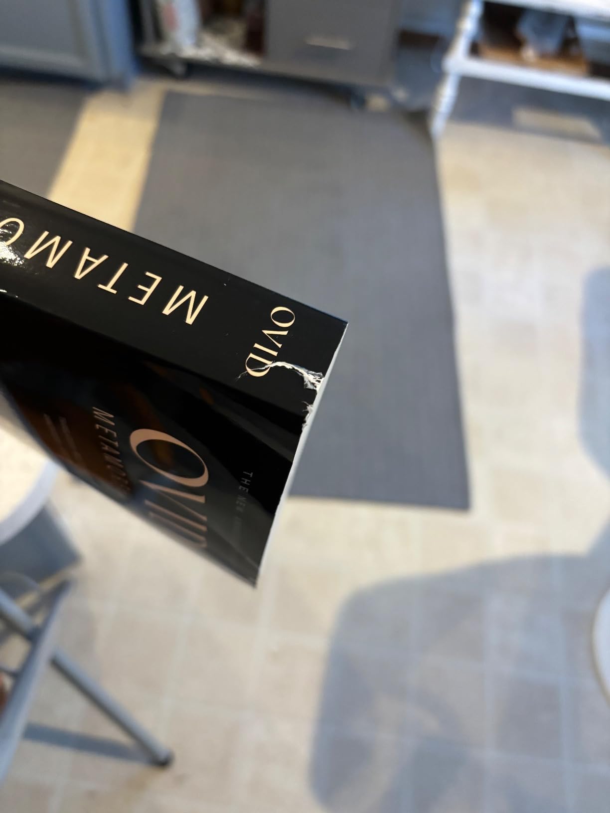 Metamorphoses: The New, Annotated Edition - Kindle edition by Ovid ...