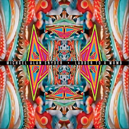 Ladder To A Womb: Michael Alan Snyder: Amazon.in: Music}