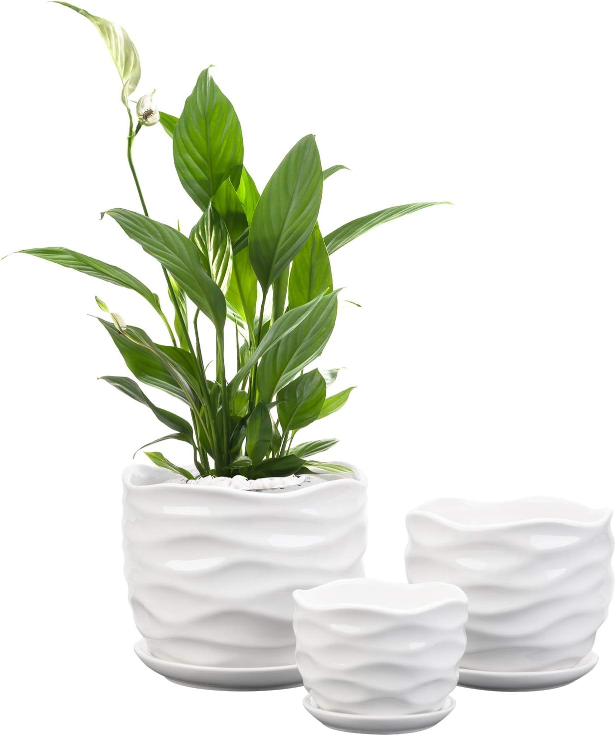 Amazon.com: MyGift White Ceramic Indoor Flower Succulent Plant Pot with ...