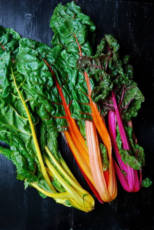 Ritz Farming® Swiss chard vegetables seeds for Home pots | tricolor ...