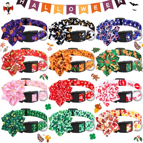 Dog Holiday Collars – The 15 best products compared - Wild Explained