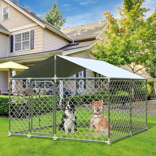 Dog Cage Outdoor – The 15 best products compared - Wild Explained