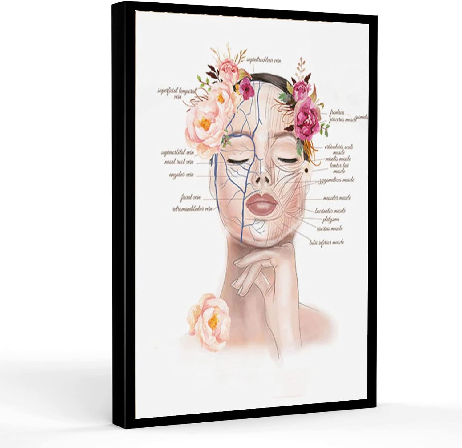 Medical Skeleton Facial Anatomy Poster - 16x24 Inch Canvas Wall Art in ...