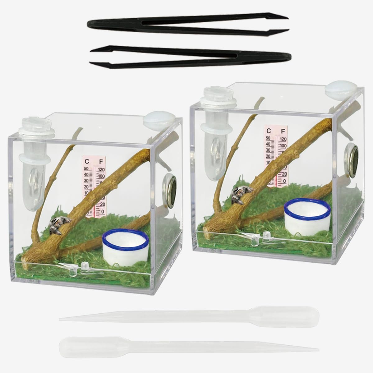 Buy GSYUWIH 2 Pack Jumping Spider Enclosure,Tarantula Enclosure with ...