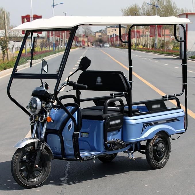 Amazon.com: Heavy Duty Electric Tricycle Cover,SANBENGZI Awning Cover ...