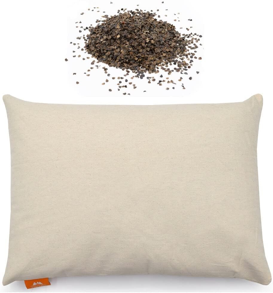 Amazon.com: PineTales Sobakawa Buckwheat Hull Pillow for Neck Pain ...