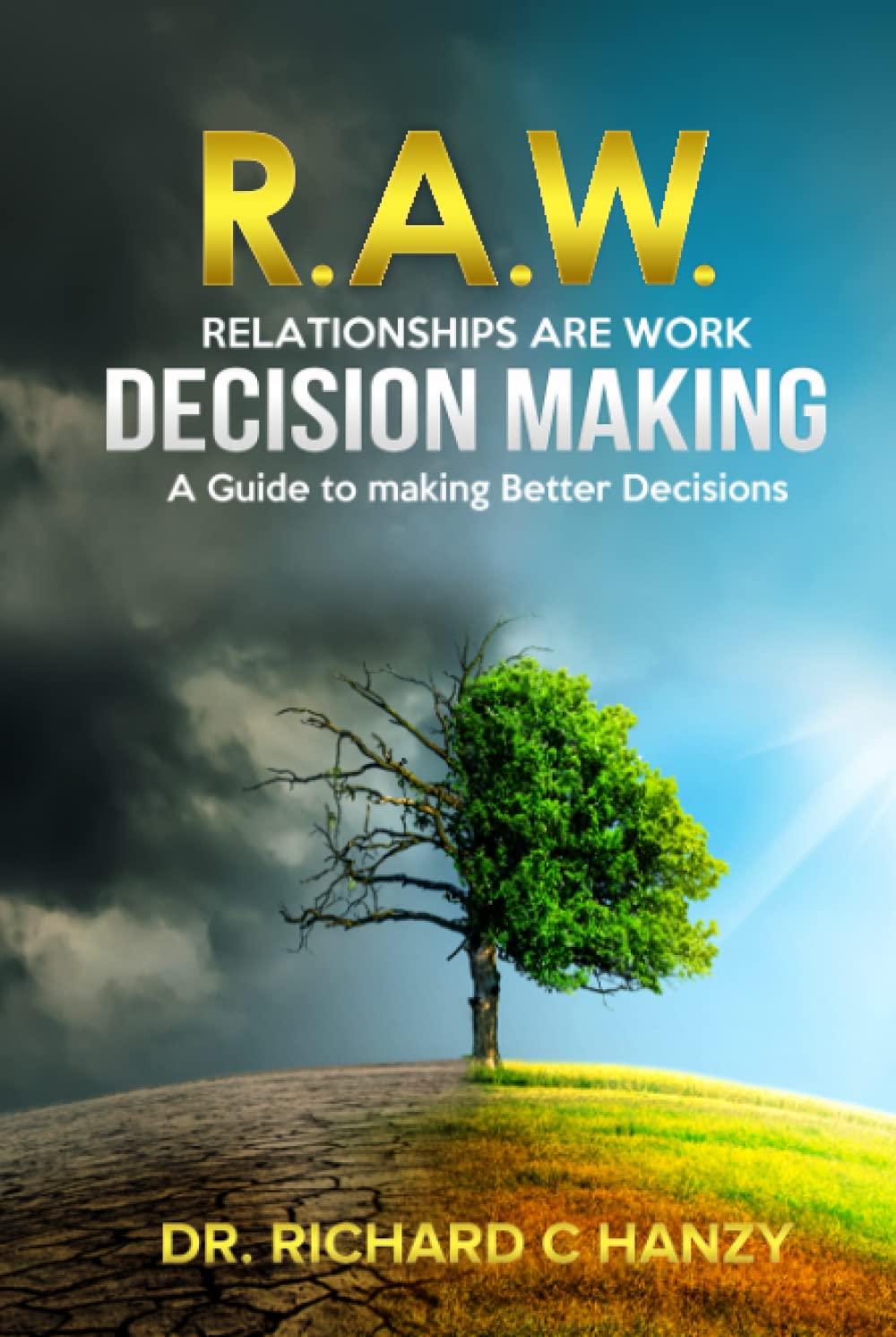 R.A.W. Decision-making- A Guide to Making Healthier Decisions: C. Hanzy ...