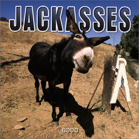 Buy 2004 (Jackasses Wall Calendar) Book Online at Low Prices in India ...