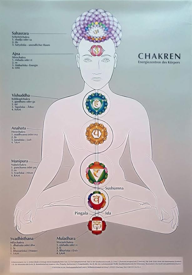 Amazon.de: Edition AUM Chakra-Poster DIN A1 (ca 59 x 84 cm) mit ...