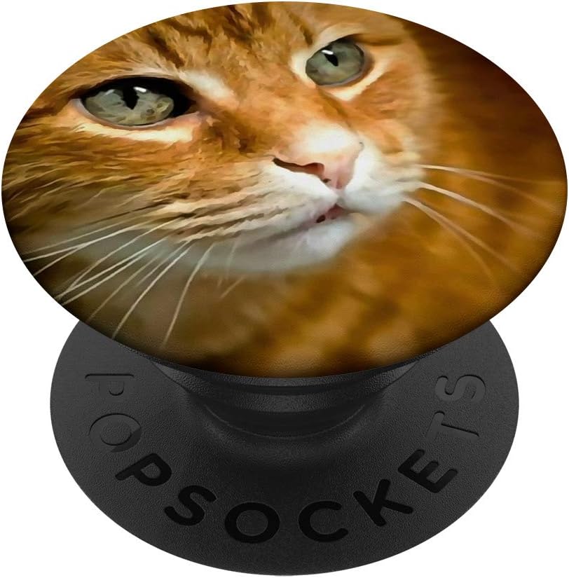 Amazon.com: Adorable Ginger Tabby Cat Posing Pet Portrait PopSockets ...
